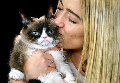 Internet Mourns As Grumpy Cat Dies Mpr News