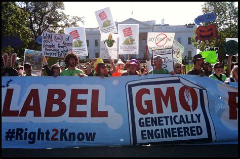 Us Senators Launch Common Sense Gmo Labeling Act Sustainable Pulse