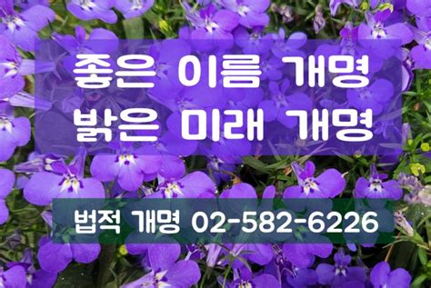 한자개명 신청 한자이름만 바꾸기 성명학 이름변경 사유와 방법 네이버 블로그