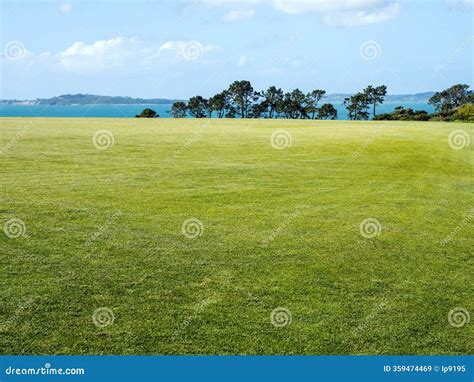 Vast Lawn And Short Mowed Grass Stock Image Image Of Field Homestead