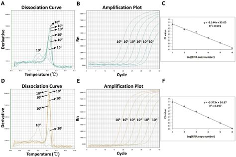 Detection Limit And Standard Curve The Detection Limit Was Determined Download Scientific