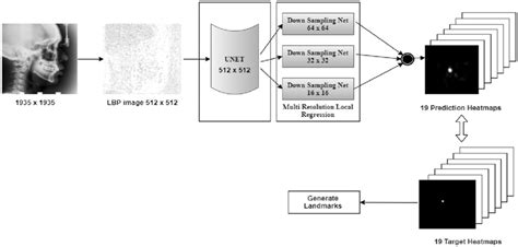 Schematic Representation Of The Proposed Network Download Scientific