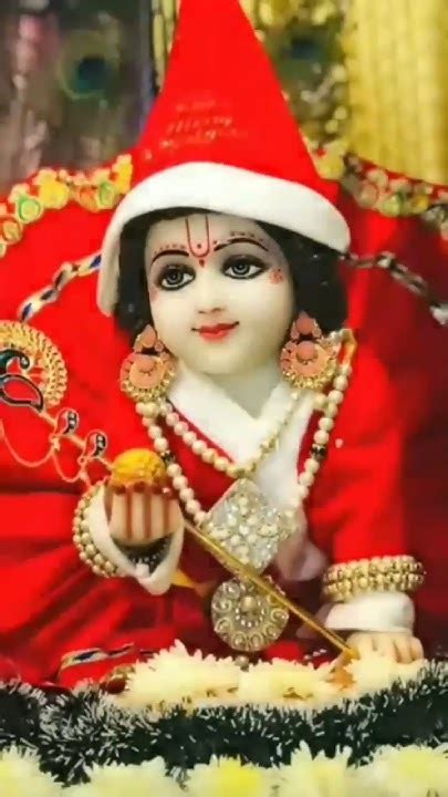 Jai Shri Krishn 🙏💞🌺🌿 Youtubeshorts Trending Merychristmas Happychristmas2024 Hindugod
