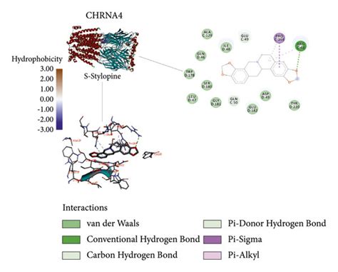 Molecular Docking Diagram Of Some Active Compounds And Core Targets