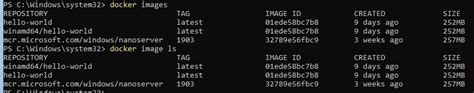 Your First Windows Docker Container Hello World
