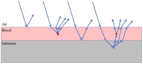 Correction Of Substrate Spectral Distortion In Hyper Spectral Imaging By Neural Network For