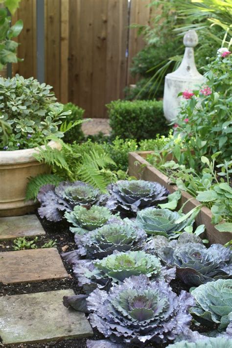 Eight Sustainable Summer Goals For A Self Sufficient Life Self