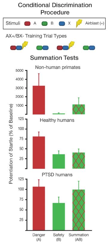 Conditional Discrimination Procedure With Human And Non Human Primates Download Scientific Diagram