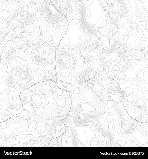 Seamless Pattern Topographic Map Background Vector Image
