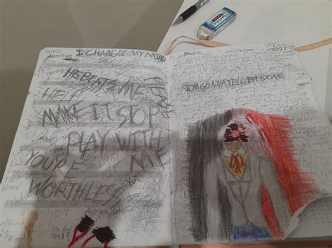 My Ddlc Notebook R Ddlc