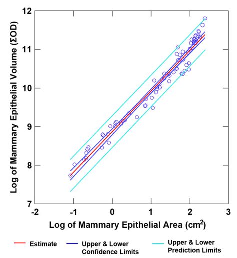 Log Transformed Regression Analysis Of Mammary Epithelial Area And