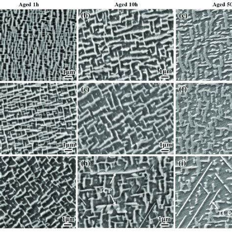 The Sem Se Microstructure Evolution Of γ′ Phase After Different Heat Download Scientific