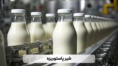 مقایسه شیر پاستوریزه و شیر محلی شباهت ها و تفاوت ها