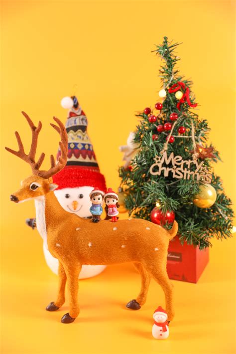 圣诞树圣诞节树素材 圣诞树圣诞节树模板 圣诞树圣诞节树图片免费下载 设图网