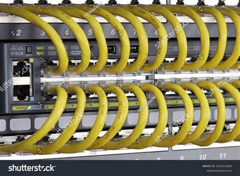 Connecting Ethernet Switch Using Patch Cords Stock Photo Shutterstock