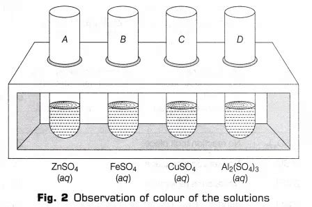 Cbse Class 10 Science Lab Manual Reactivity Series Artofit
