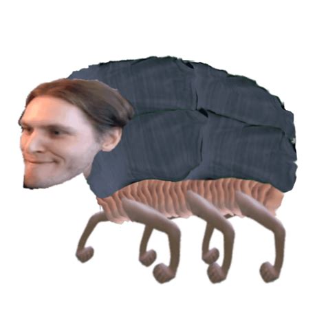 The Jerma Parasite Has Infected Your Brain More Context In The