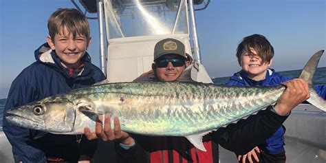 Kingfish Season In Clearwater Fisheye Sportfishing