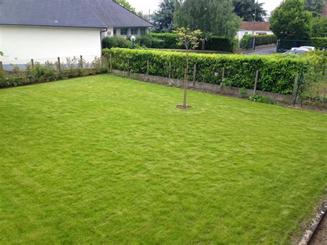 GD Paysage Création de jardin haie vive haie persistante engazonnement plantation albizzia