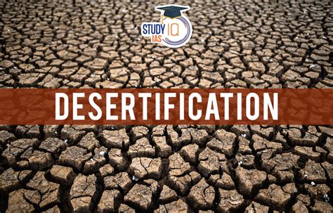 Desertification Meaning Causes Effects And Prevention