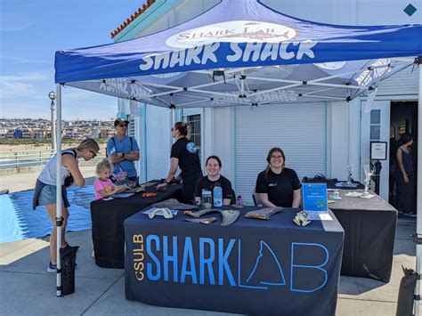 Shark Shacks Shark Lab California State University Long Beach