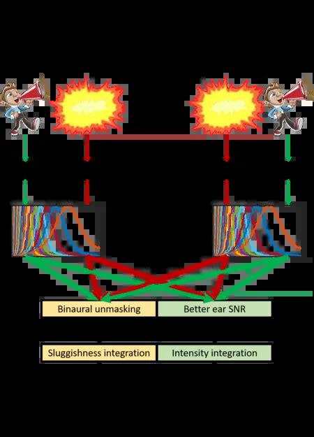 Auditory Modeling Professorship Of Audio Information Processing