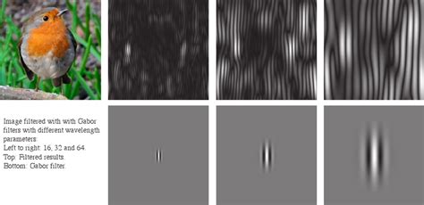 Examples Of Gabor Filters And An Image Processed With Them Download Scientific Diagram