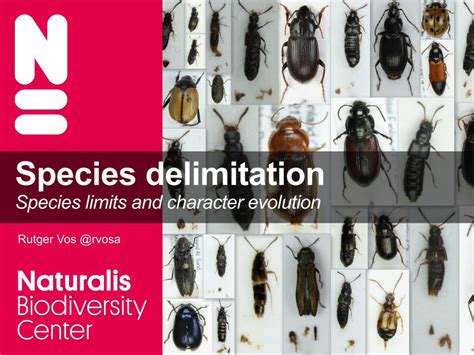 Pdf Species Delimitation Species Limits And Character Evolution