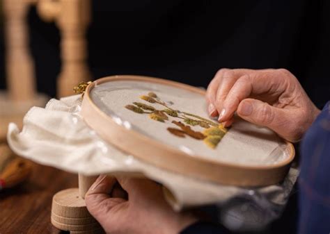 Secret Squirrel Kit The Crewel Work Company