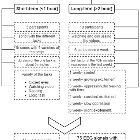 Structure Of The Experiments Download Scientific Diagram