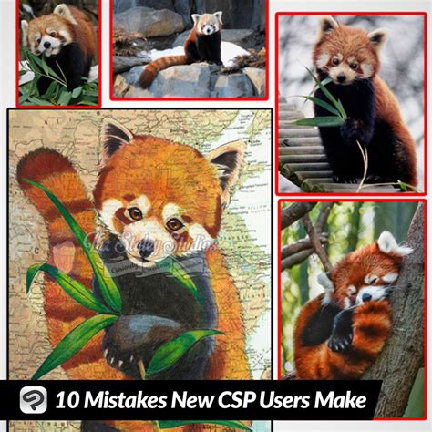 10 Mistakes New Csp Users Make