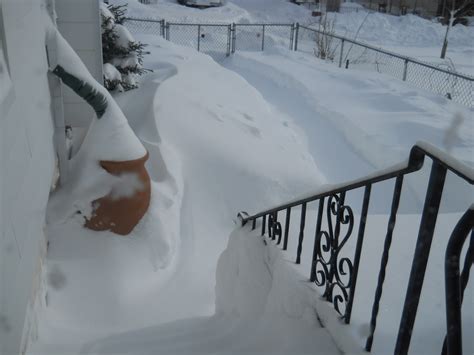 Adventure On Planet Earth Blizzard Nemo 2