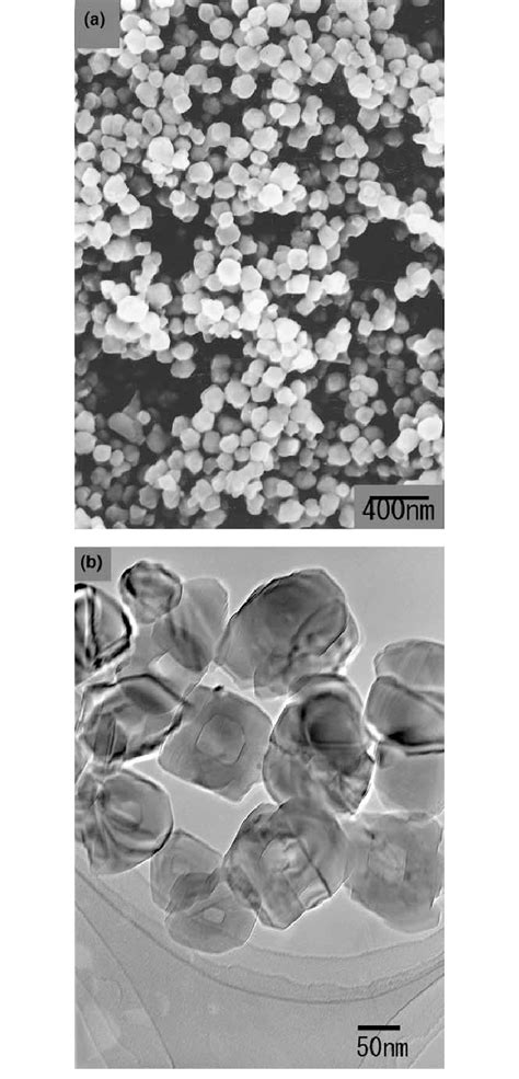 electron micrographs showing morphologies of the rutile particles