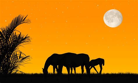 Hintergrund Winterbilder 25 Koleksi Gambar