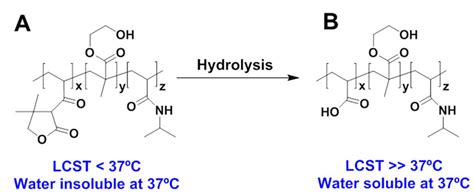 chemical structures of p nipaam co hema co dba triblock copolymer a