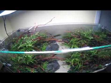 Ada 120 P My Very First Aquascape Youtube