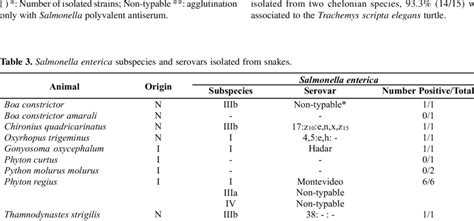 Salmonella Enterica Serovars And Subspecies Isolated From Reptiles Download Table
