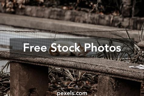Homeless Sleep Photos Download The Best Free Homeless Sleep Stock