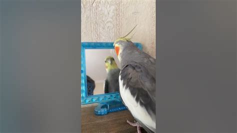 გამოიწერეთ არხი Youtube