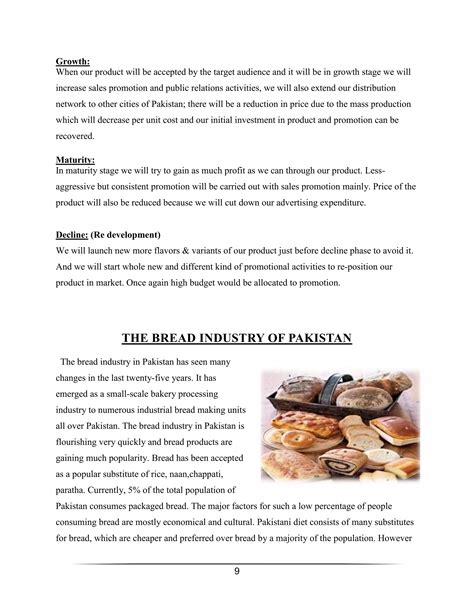 New Product Development Report Docx