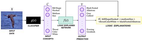 Logic Explained Networks By P Barbiero Towards Data Science