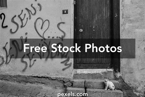Seni+трусы Photos, Download The BEST Free Seni+трусы Stock Photos & HD ...
