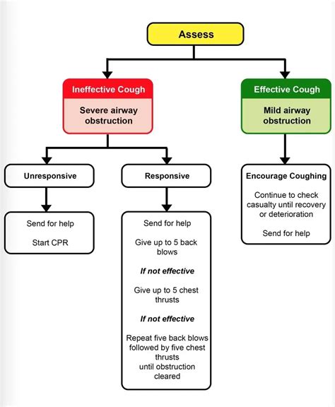 Anzcor Guideline 4 Airway Survive Student Resource