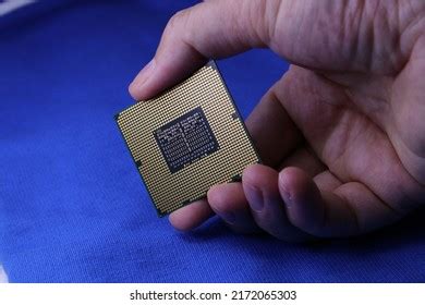 5 656 Processor Photo Images Stock Photos Vectors Shutterstock