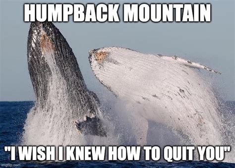 Normalizing Deviant Behavior Snipers Hide Forum