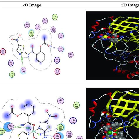 The Binding Of Cuii And Niii Complexes To Sars Cov 2 Protease