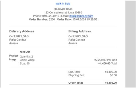 C How To Send Dynamic Html Email With Aspnet Core Stack Overflow
