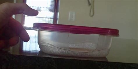 How to Create a Humid Hide For a Leopard Gecko? | MyPetCareJoy