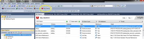 RedGate SQL Search Has What You Are The CEO Of Your Destiny