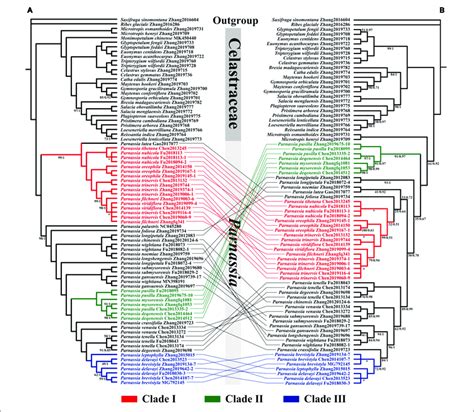 Phylogenetic Relationship Of Parnassia Resolved Based On 73 Cdss